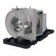 LampTek Genuine OPTOMA DH1014 Projector Lamp - BL-FU310B / DE ...